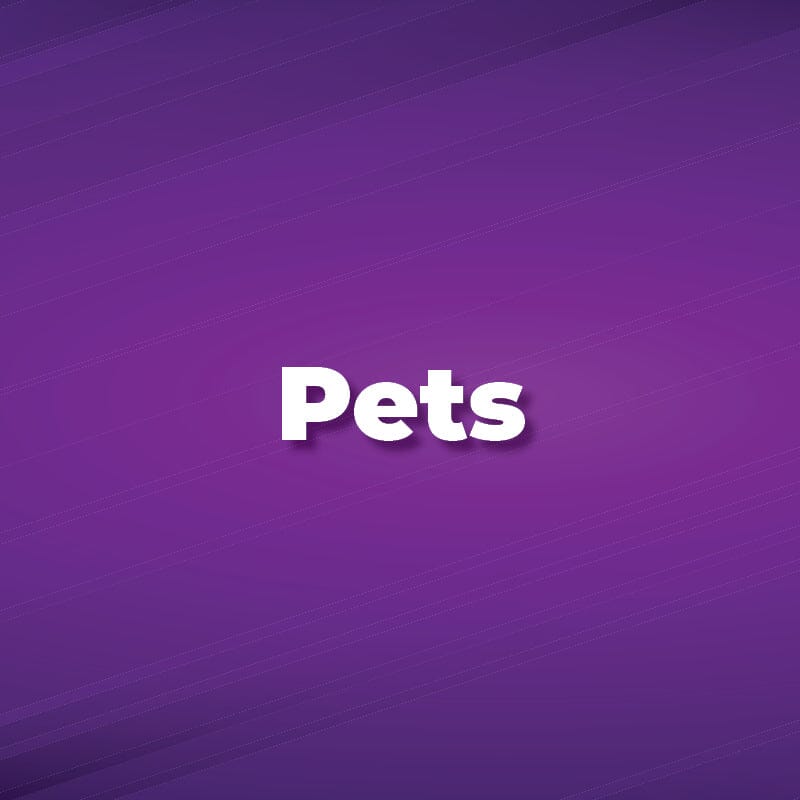 All Pets – Showcase